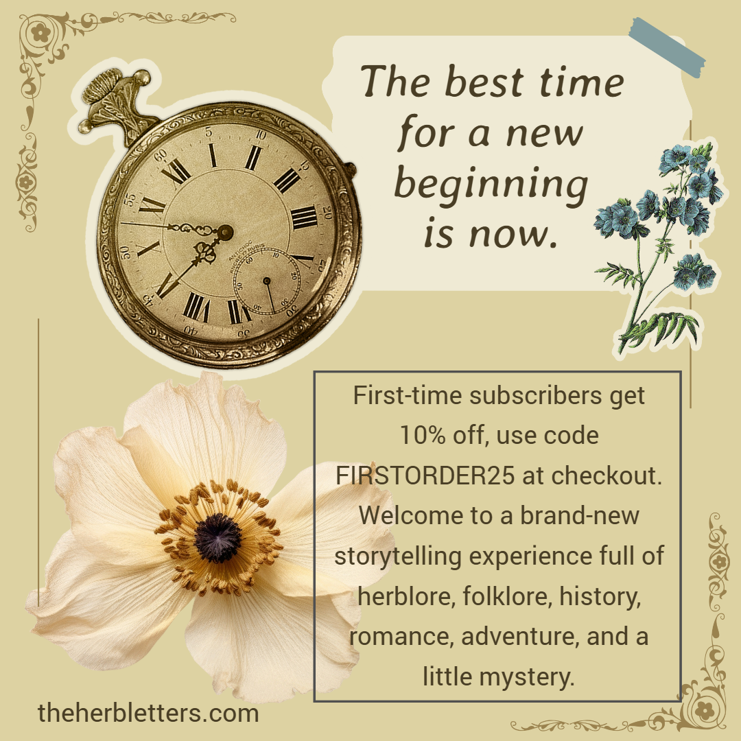 The Herb Letters – stories that last all year